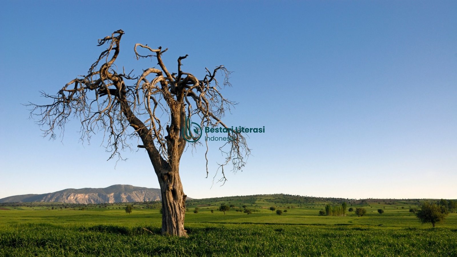 Sebaris Kenangan di Ujung Nostalgia - Puisi Dyah Ratnawiati, S.Pd ...